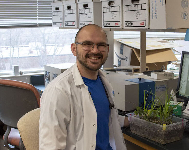 PhD student bioengineers potato plant to detect gamma radiation - The ...